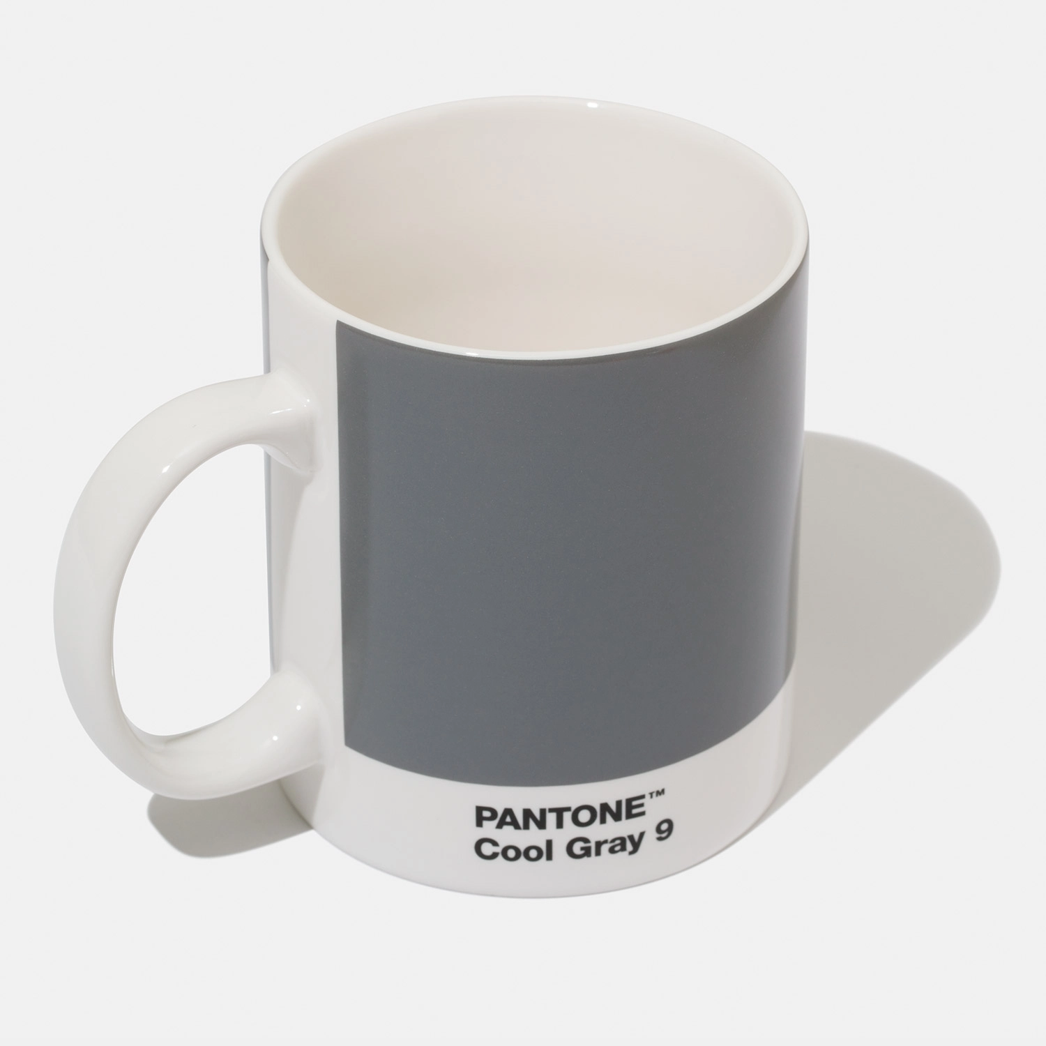Pantone Cool Gray 2c