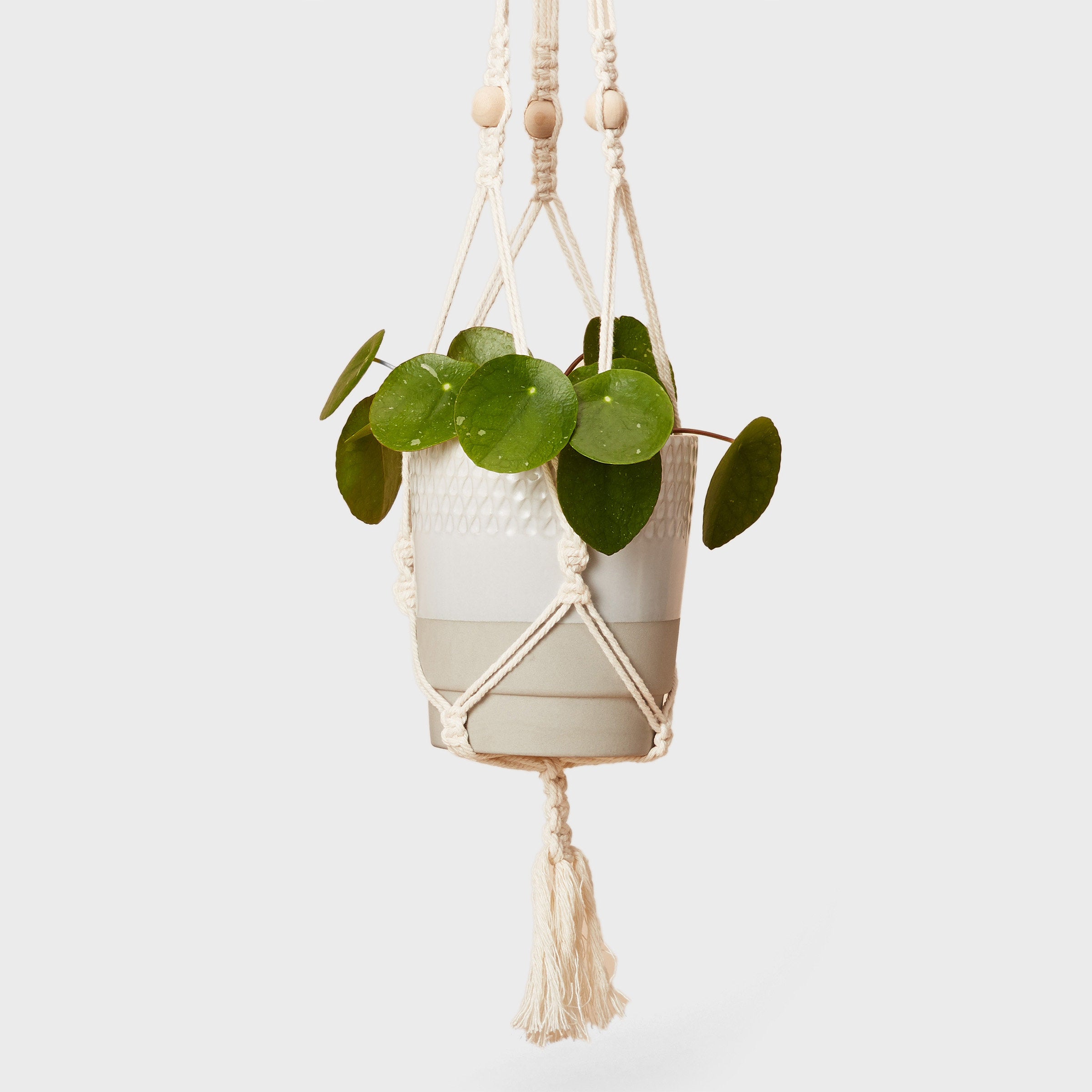 Cotton Plant Hanger Chord with Beads 'Hang Time' – Brand Academy Store
