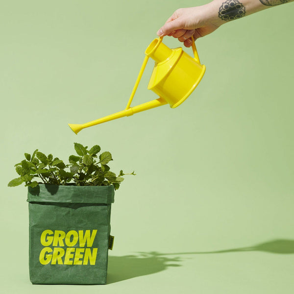Home Gardening Kit - For Good Home Grown Hero Grow Kit in Green and Ye